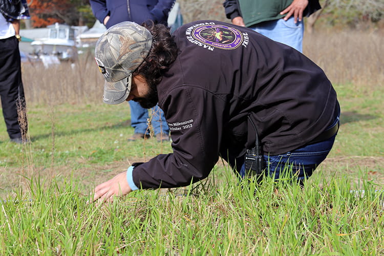 Conserving the Sweetgrass Tradition | Farmers.gov