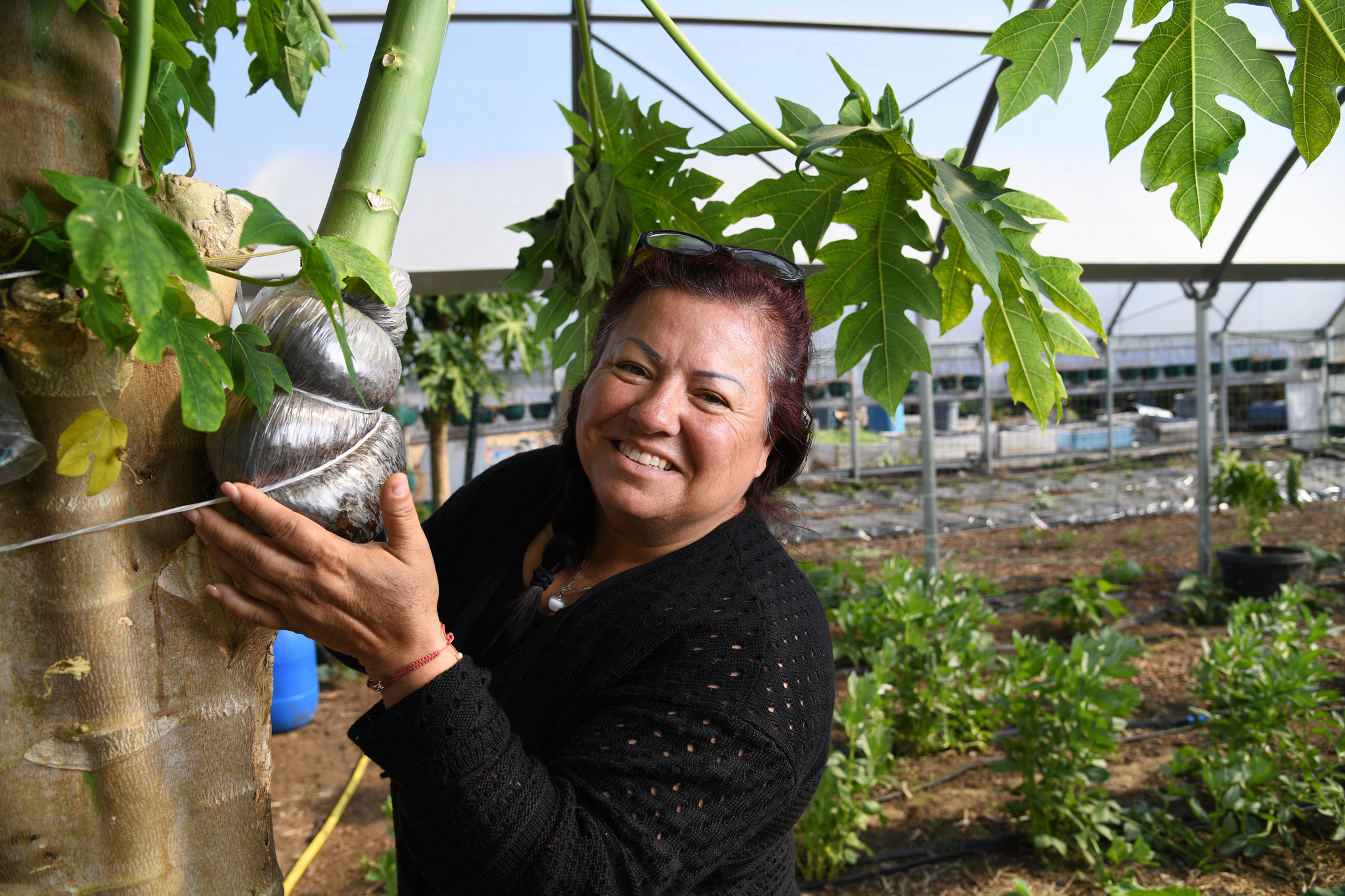 An Orchard Becomes a Community’s Jewel | Farmers.gov