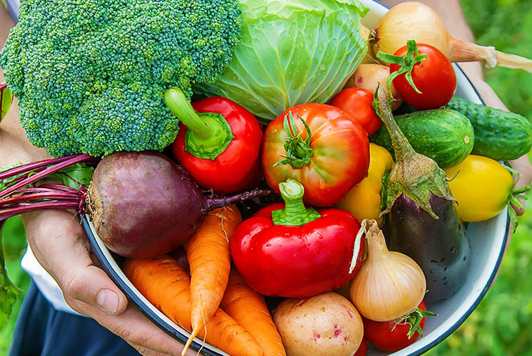 Ask the Expert: Coronavirus Food Assistance Program. What does it mean for Specialty Crop ...