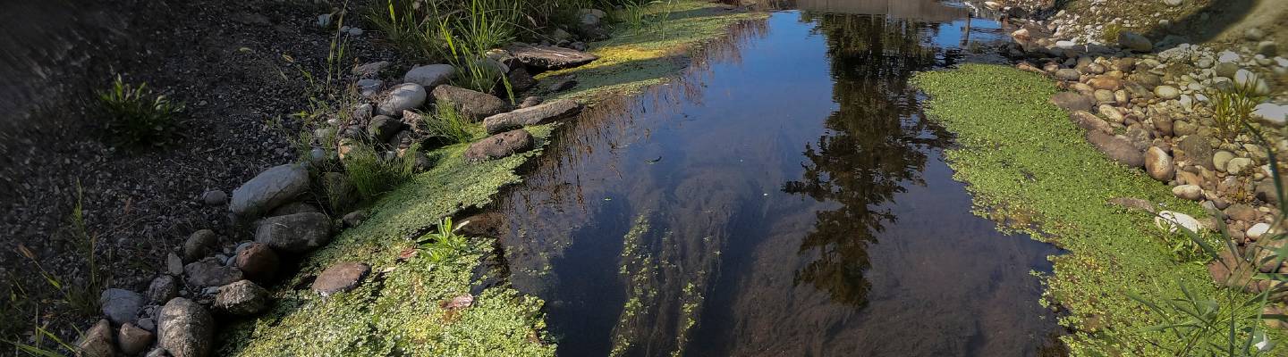 Water Quality Practices and Resources | Farmers.gov