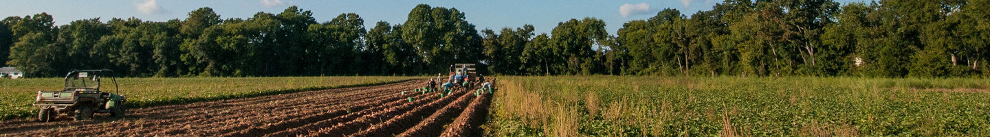 Farm Loans for Farmers and Ranchers | Farmers.gov