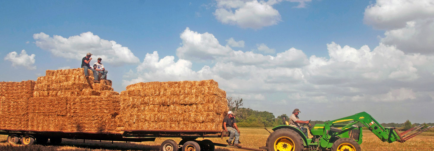 The Snider Family Grows a Tradition | Farmers.gov