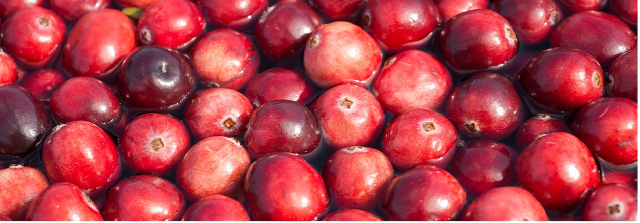 Specialty Crops Farming Resources | Farmers.gov