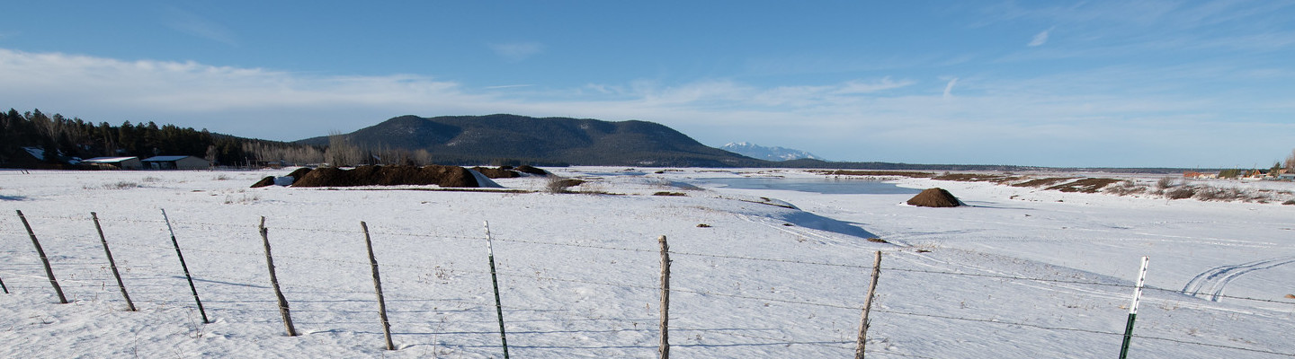 Winter Storm Preparation and Recovery Resources | Farmers.gov