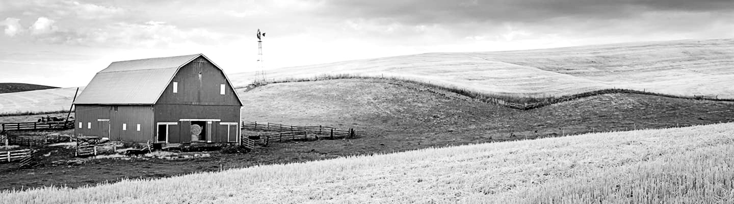 Coronavirus Food Assistance Program (CFAP) | Farmers.gov