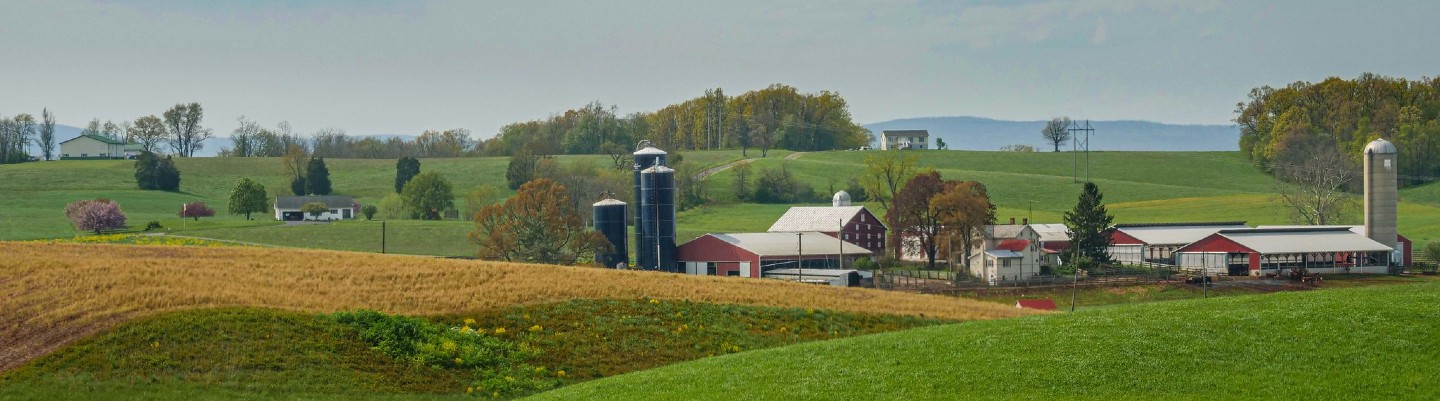 Organic Transition Initiative | Farmers.gov