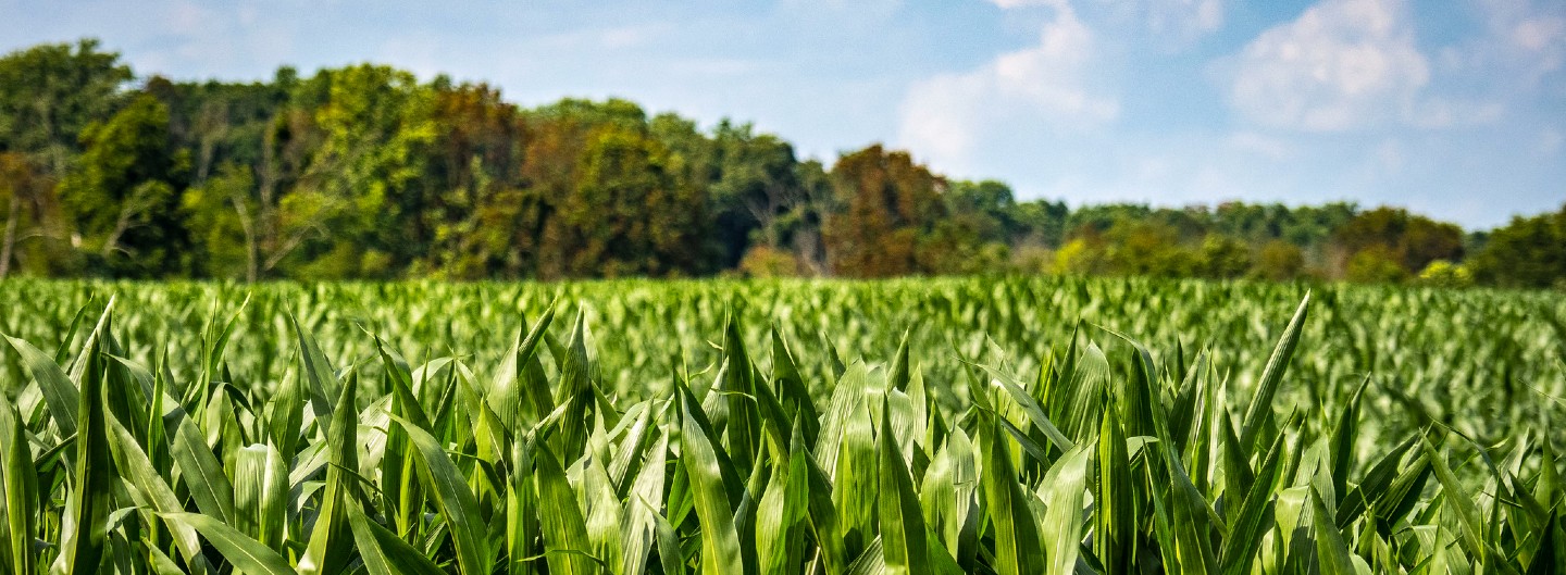 How to Get Started with Nutrient Management | Farmers.gov