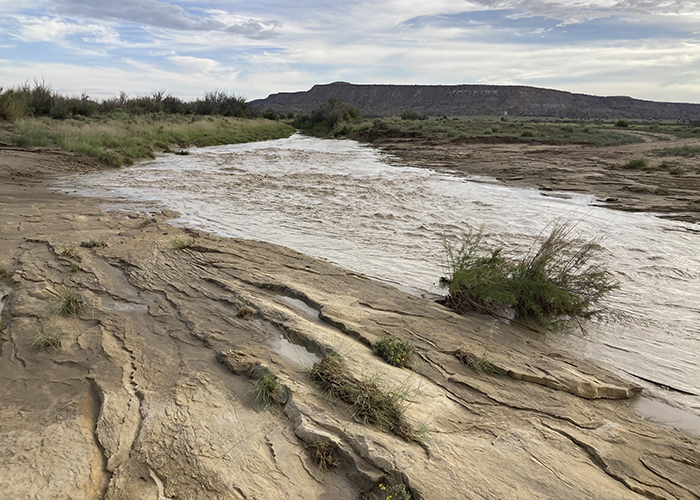 Inflation Reduction Act in Action: Bell Rock Livestock Association ...