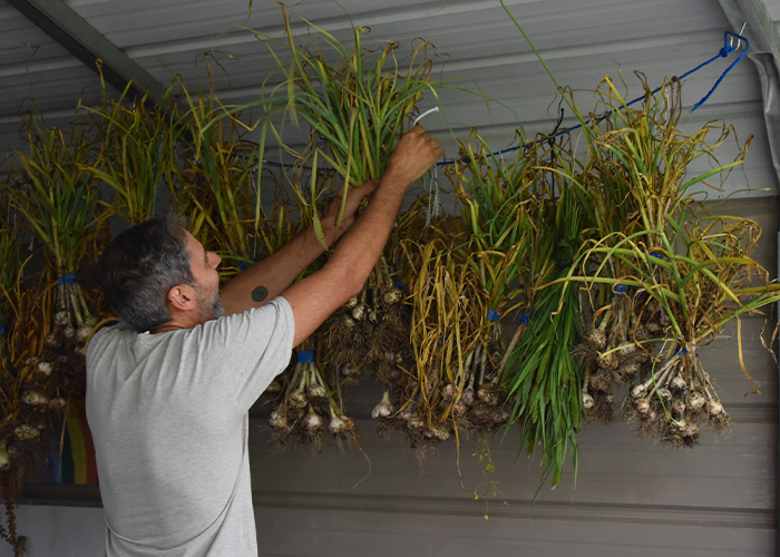 Fridays on the Farm: A Steward of the Natural World | Farmers.gov