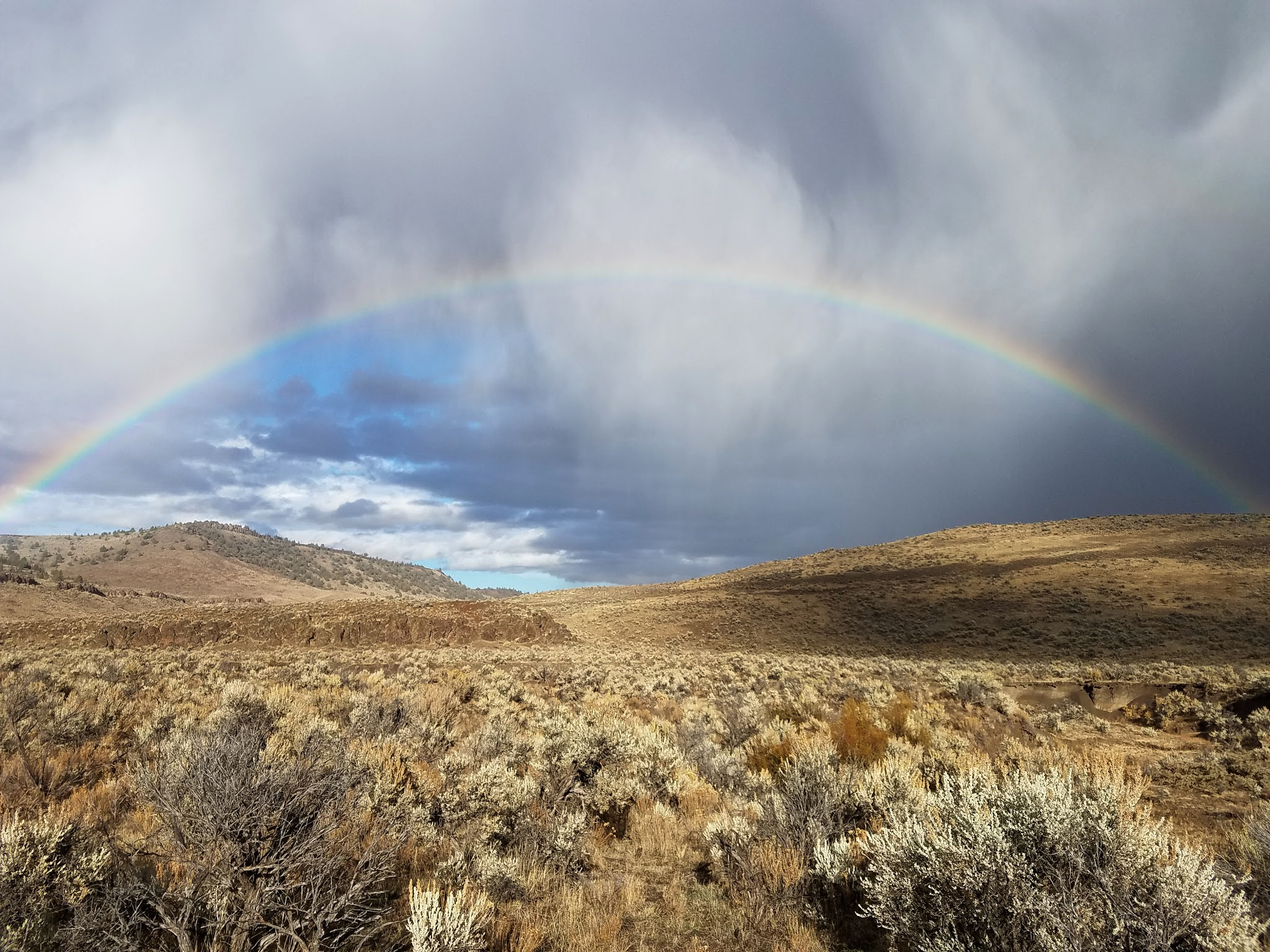 Restoring Sagebrush Country With ‘Modern Wildfire’ | Farmers.gov