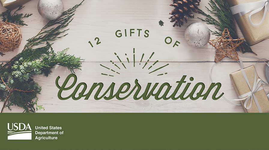 12 Gifts of Conservation | Farmers.gov
