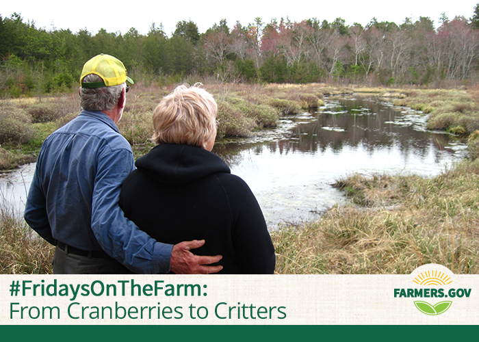 From Cranberries to Critters | Farmers.gov