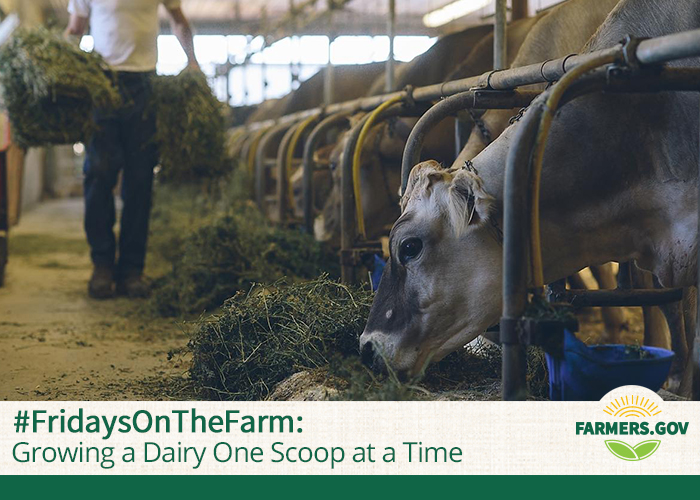 Growing a Dairy One Scoop at a Time | Farmers.gov