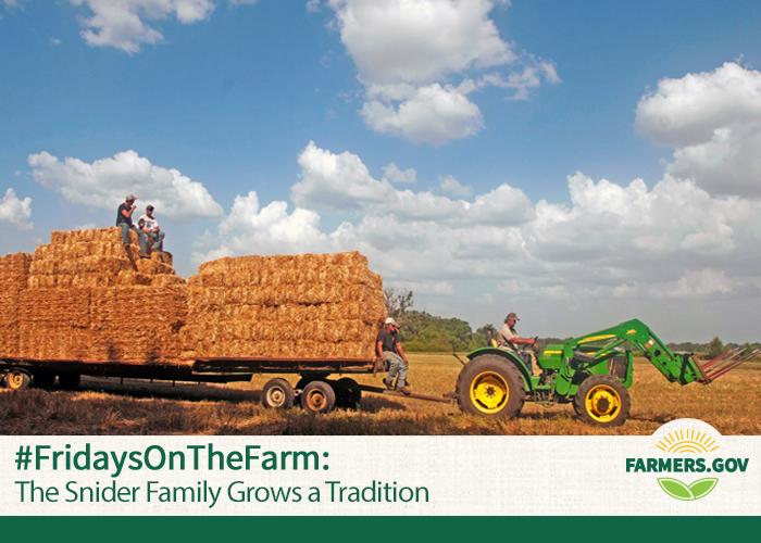 The Snider Family Grows a Tradition | Farmers.gov