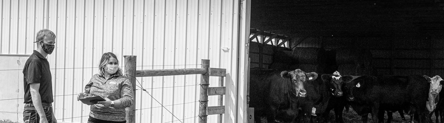 [Archived] Coronavirus and USDA Assistance for Farmers | Farmers.gov