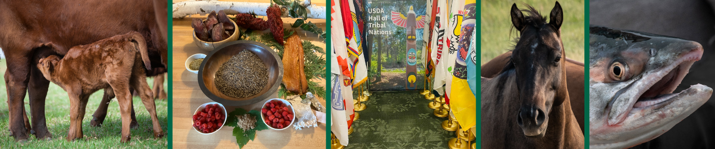 Partnerships With Tribal Nations | Farmers.gov