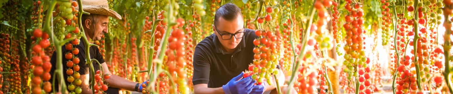 USDA Urban Service Centers | Farmers.gov