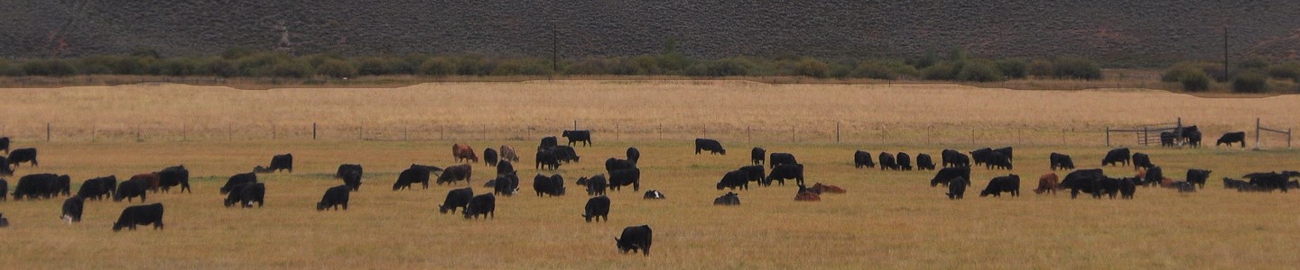 Find Land and Fund Your Farm Operation | Farmers.gov