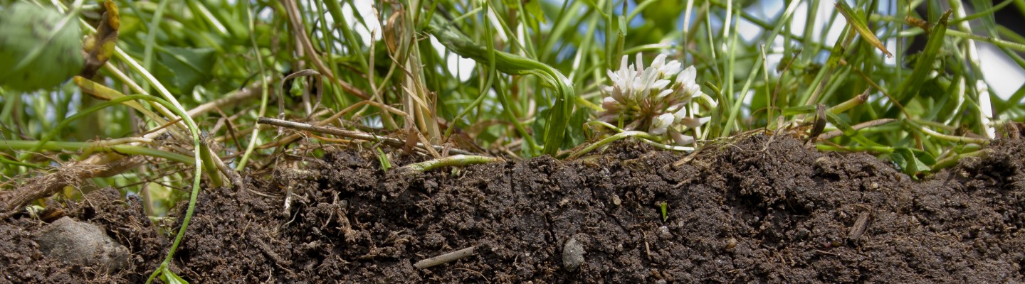 Per-and Polyfluoroalkyl Substances (PFAS) | Farmers.gov