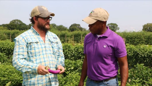 Two Dogs Farm Provides Food for Mississippi, Beyond | Farmers.gov