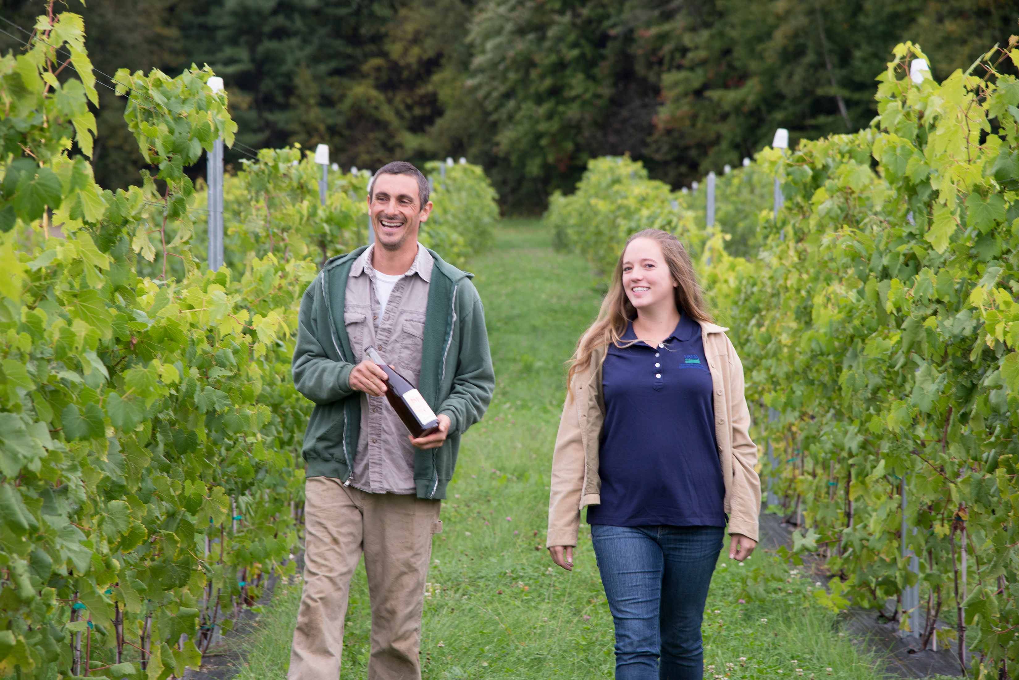 From Vine to Wine | Farmers.gov