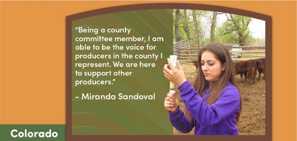 Lead Your FSA! Run for Your Local County Committee | Farmers.gov