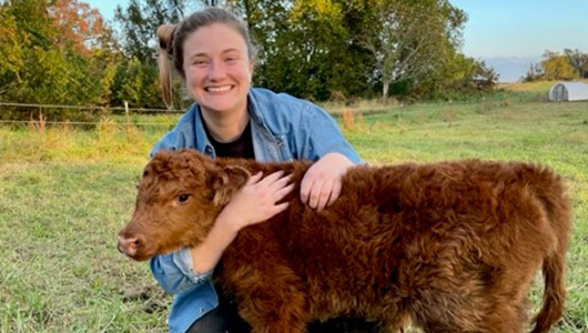 Ask the Expert: A Q&A on USDA Beginning Farmers with Sarah Campbell ...